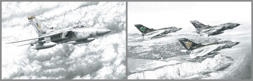 TORNADO INTERCEPTOR & TORNADO FORCE